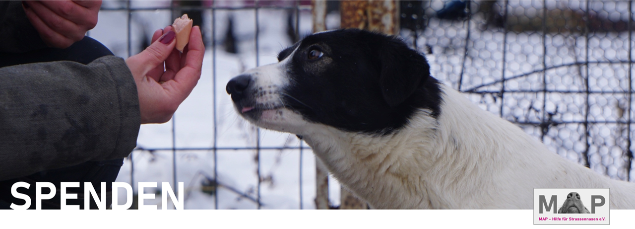 Spenden – MAP Strassennasen